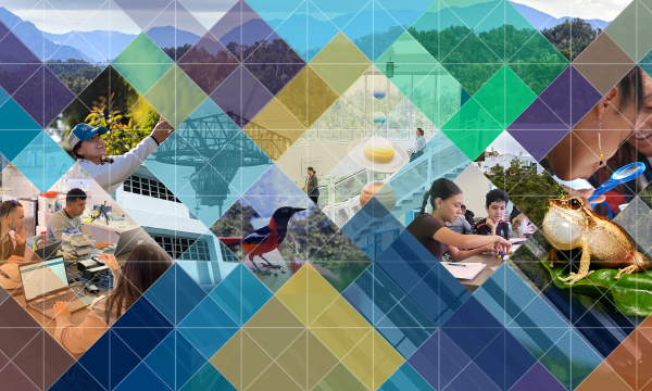 NSF Arecibo Observatory Historic District | NSF - National Science Foundation